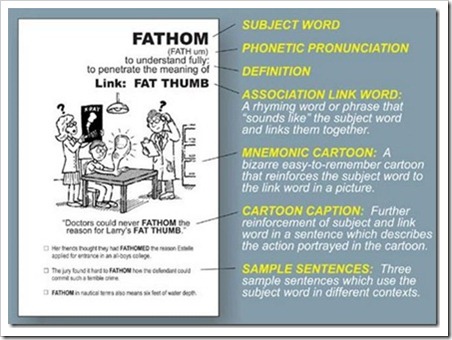 A Stable Beginning: TOS Review ~ Vocabulary Cartoons